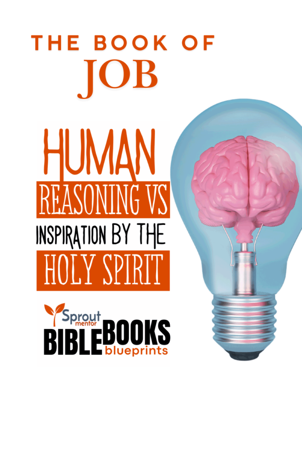 Human Reasoning Versus Inspiration by The Holy Spirit (The Book of Job ...